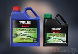 7 Harga Air Radiator Motor Terbaik 2025 | Otomotifo